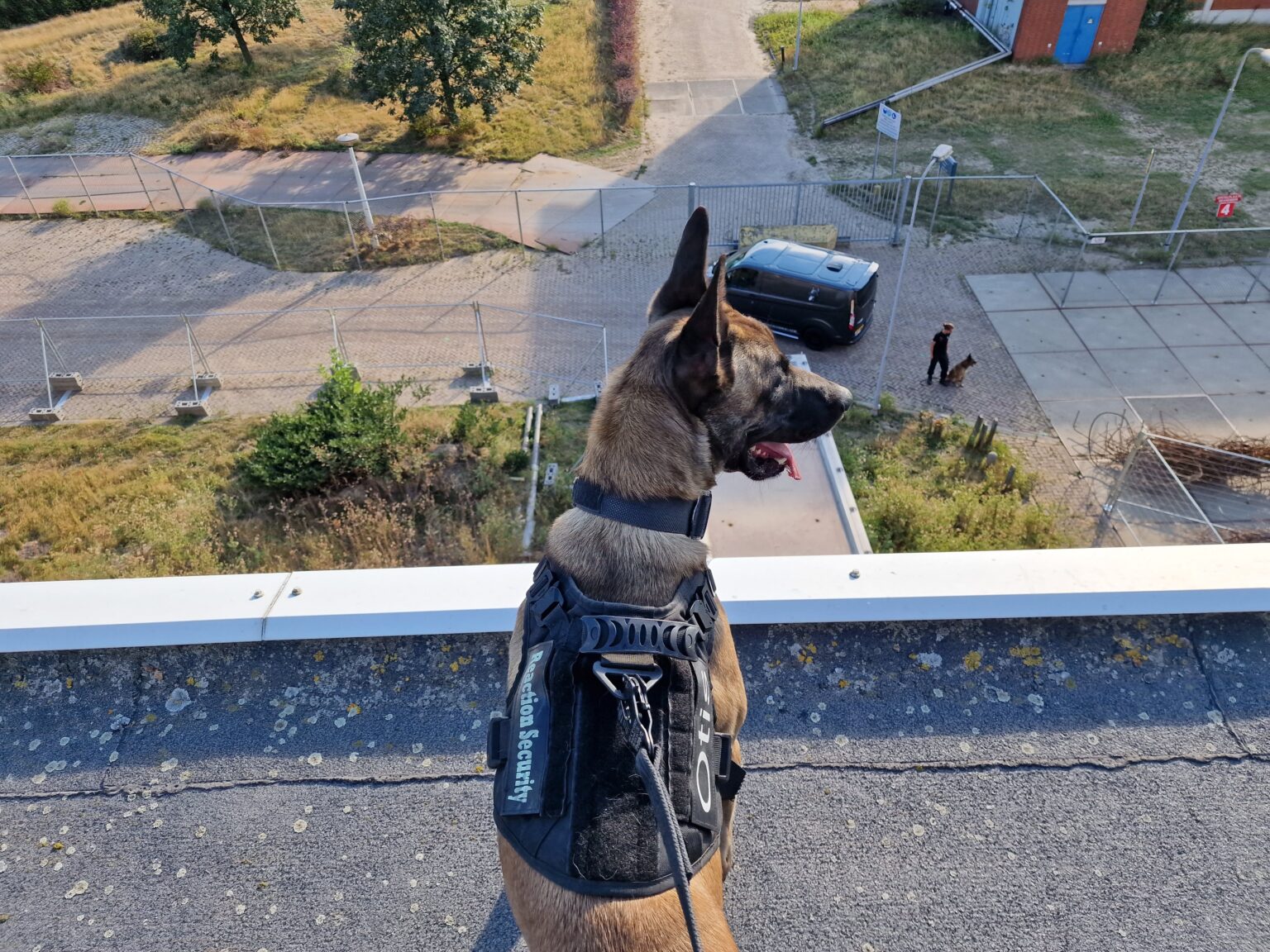 Reaction Security - Dé Beveiligingsexpert van Nederland!