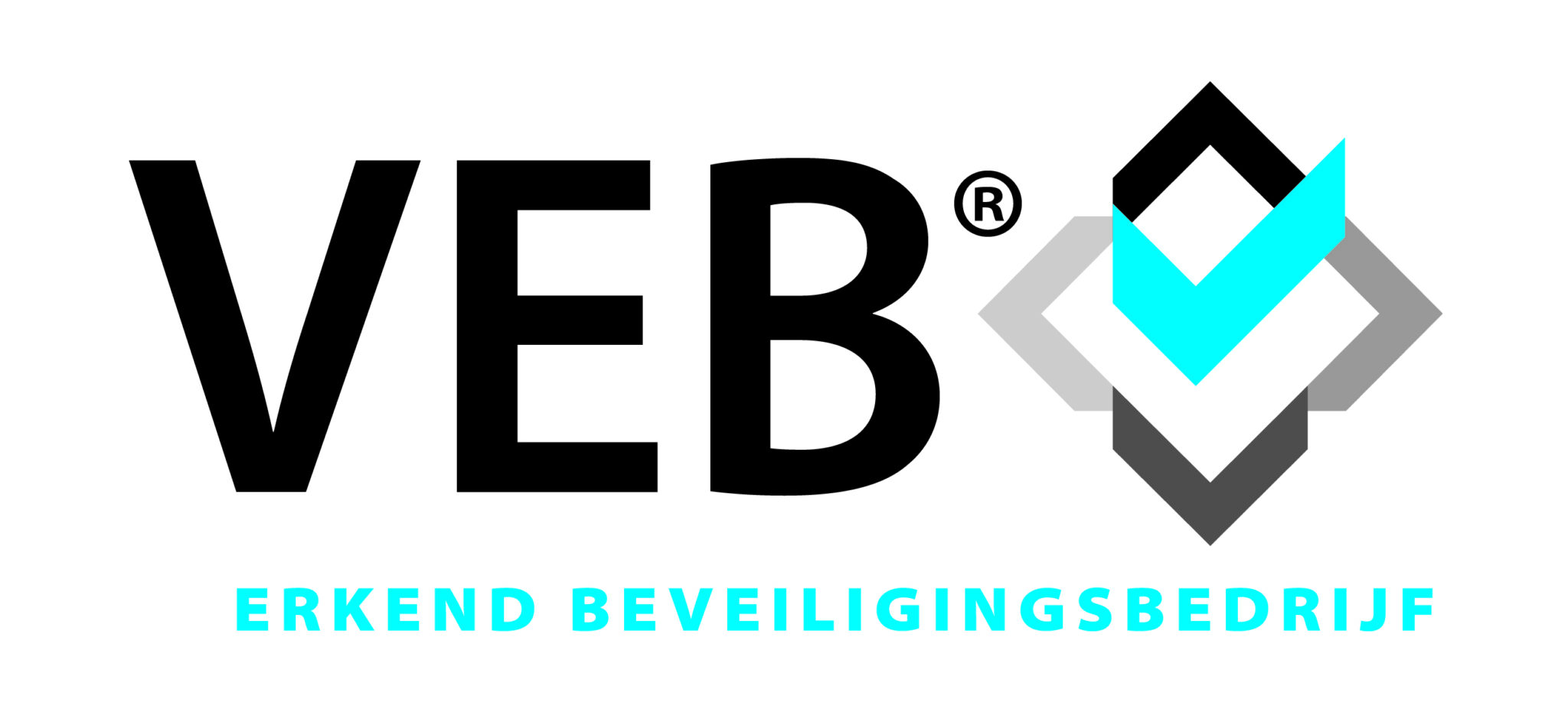 Reaction Security - Dé Beveiligingsexpert van Nederland!